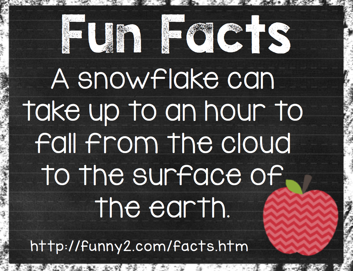 Fun Facts Website | TheHappyTeacher