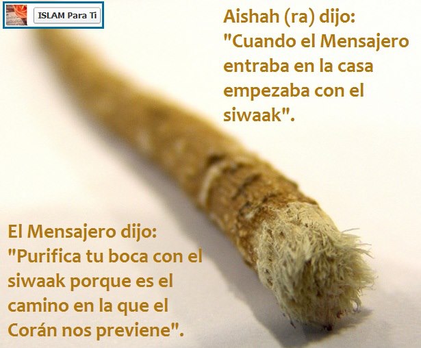 ISLAM para ti: BENEFICIOS DEL SIWAK