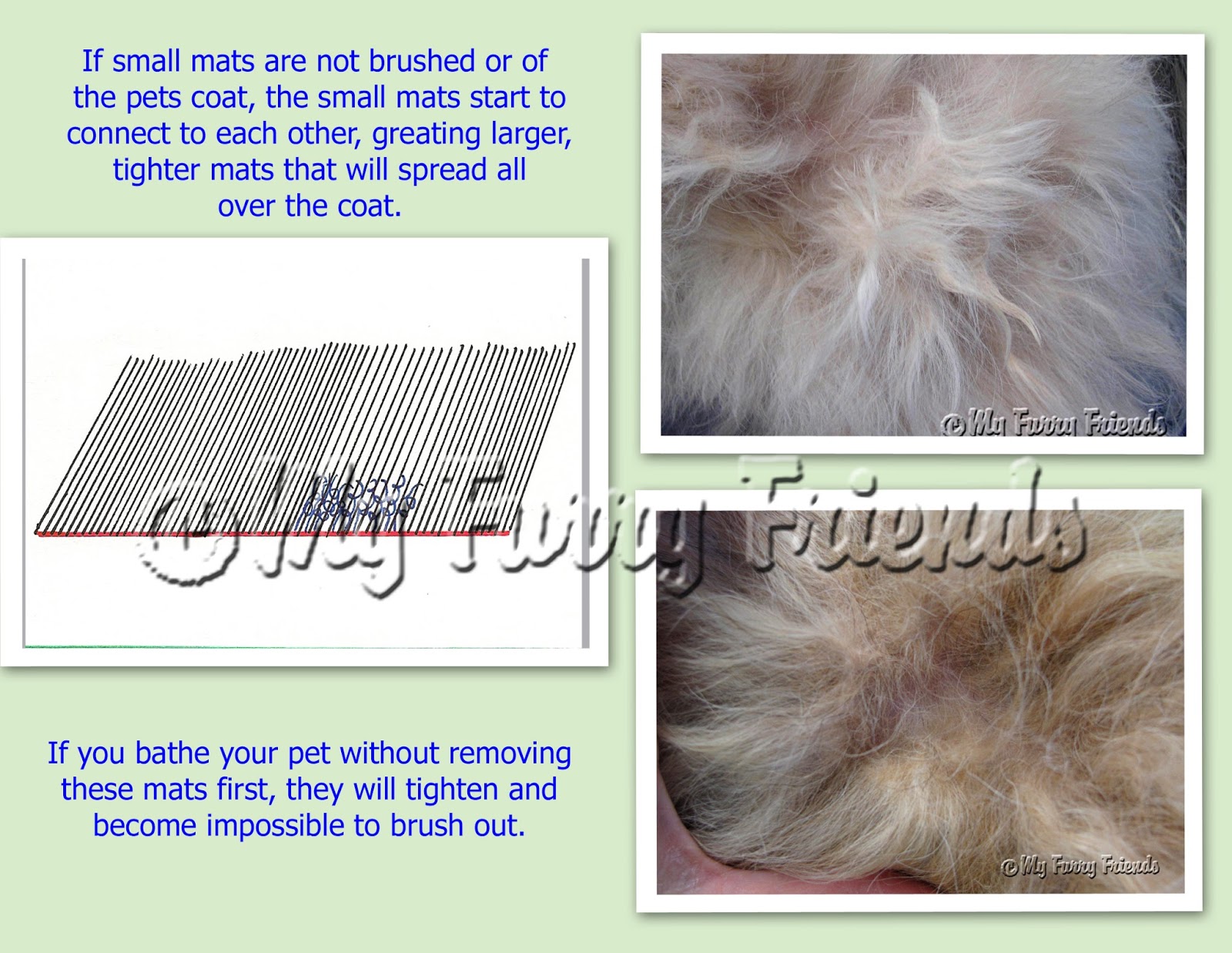 Pet Grooming: The Good, The Bad, & The Furry: Mat Chart