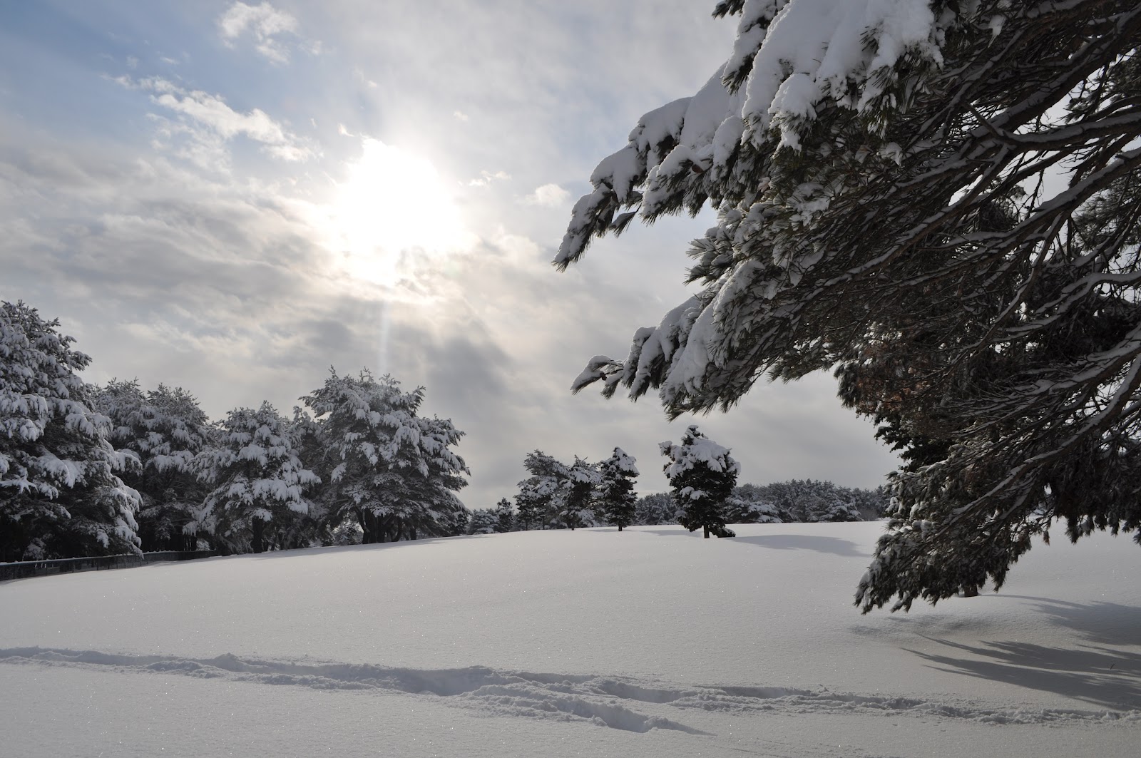 Japan!: More Misawa Snow