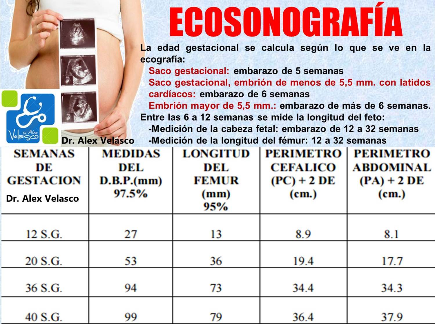 CÁLCULOS OBSTETRICOS ~ Dr. Alex Velasco