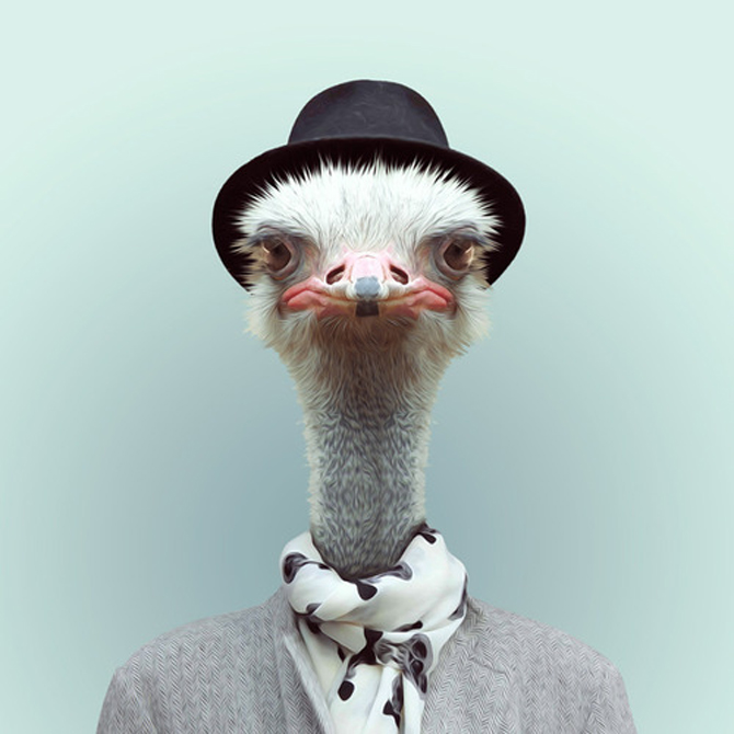 J&F Magazine: Fashion Trends, Zoo Portraits de Yago Partal