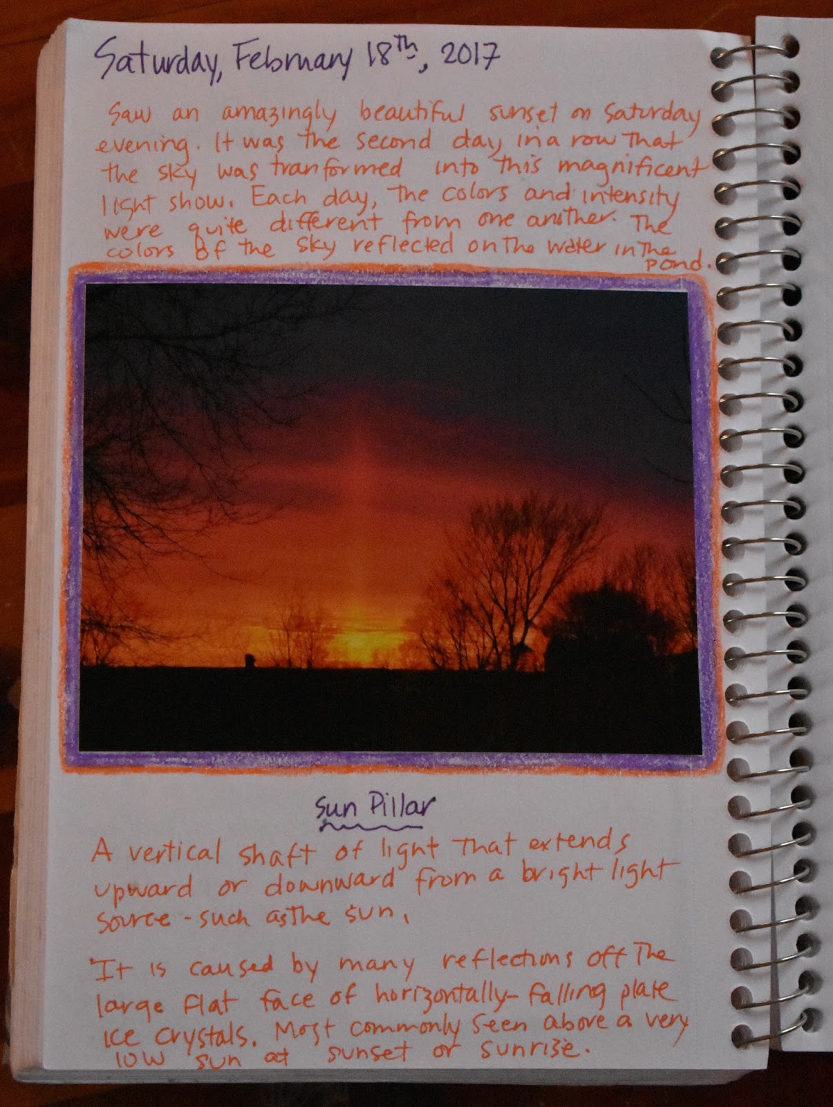 Harvest Moon by Hand: Nature Journal Entries in February: Beaver and ...