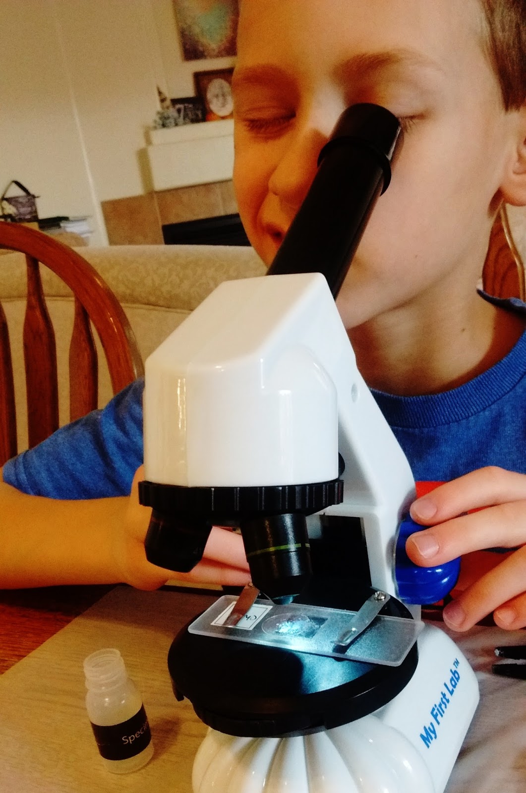 The Traveling Sisterhood: My First Lab Microscope Giveaway, the Perfect ...