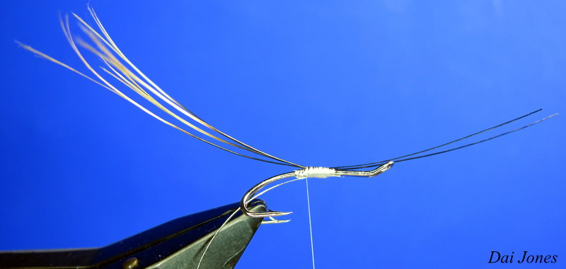 Flies step by step: Ghost shrimp, step by step.