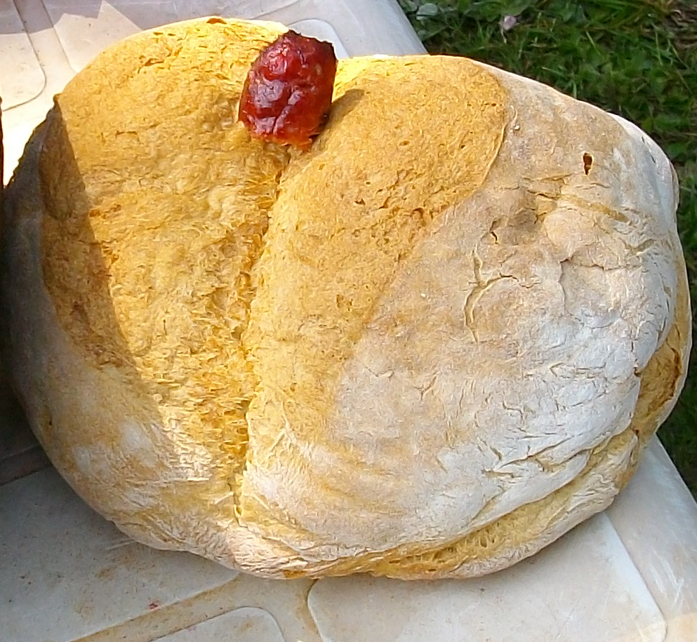 bonitos del norte: La almorrana de Alejandro