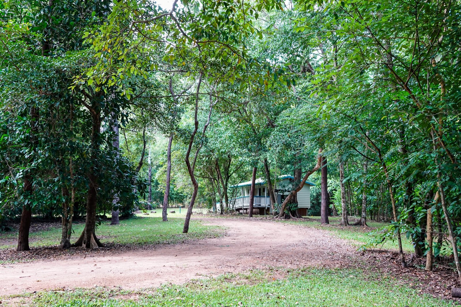 National Park Odyssey: Jourama Falls Camping Area, Paluma Range ...