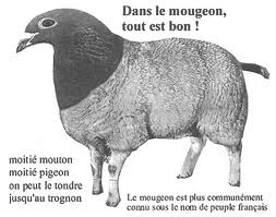 ouvre les yeux: L’agonie des mougeons