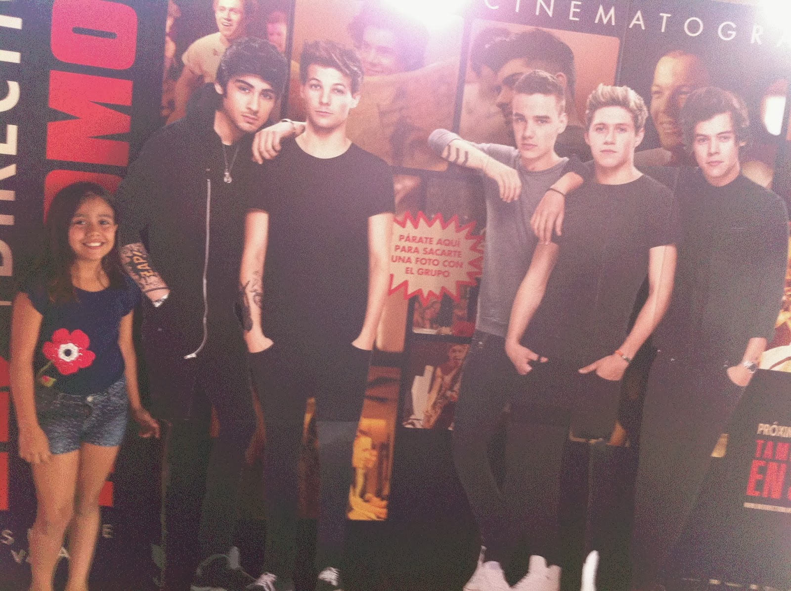 Diario De Una Directioner