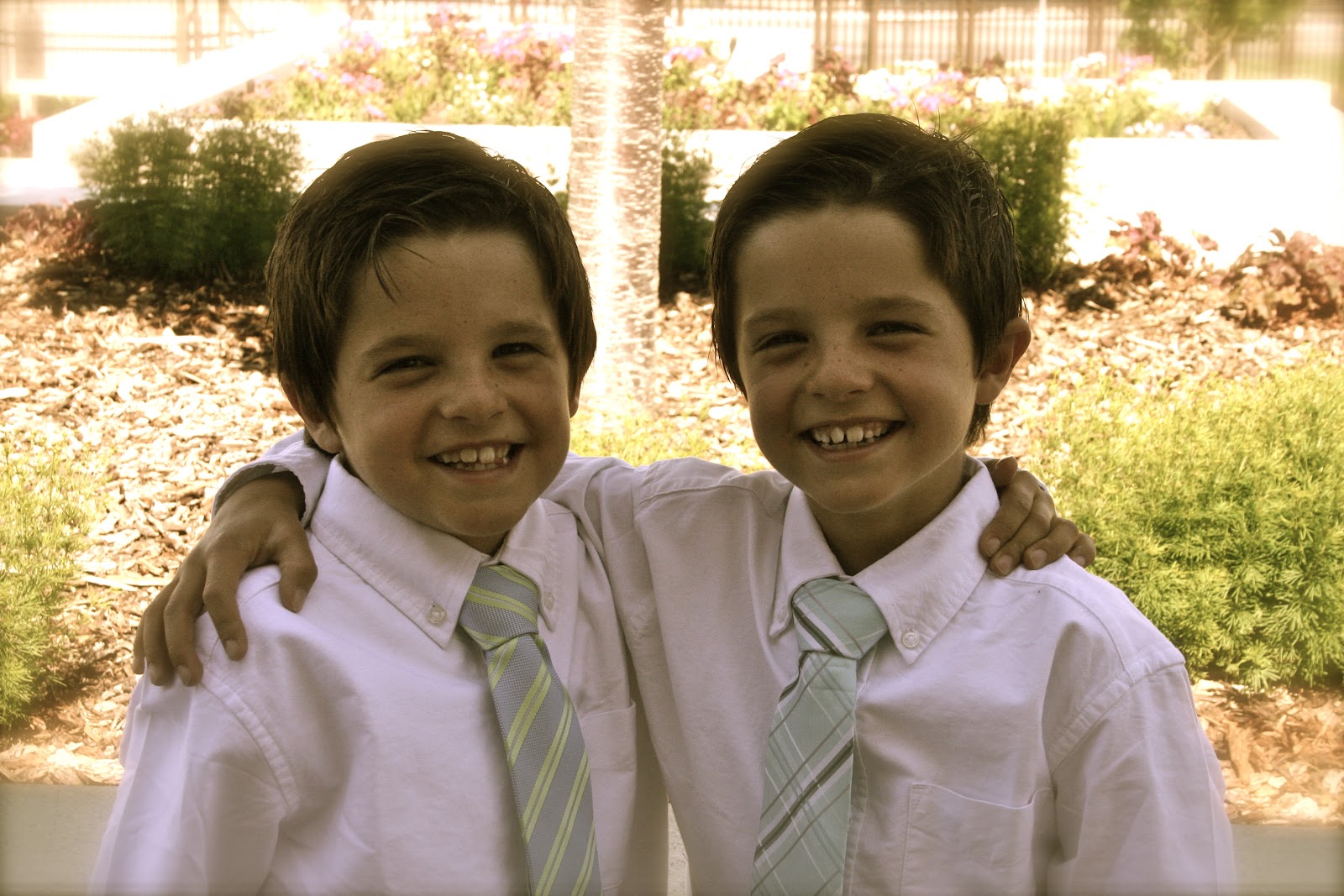 .Mikesell Family Blog: Pictures of Boston and Brock