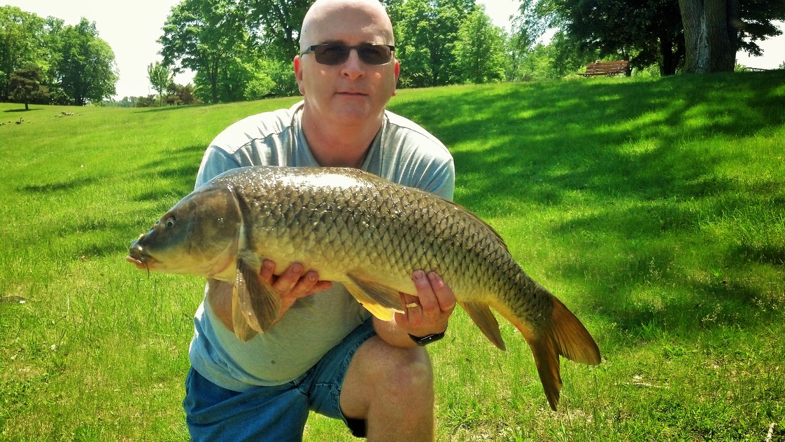 Michigan Carp Fishing Blog: Morning Carp Session