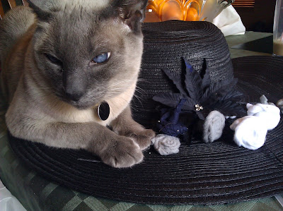 Rachelle Laughs.: beyond frazzled.