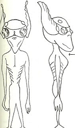 Visión de conjunto del caso Hopkinsville: