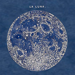 Luna. : Tumblr Images