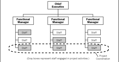 ®Waleed Elbasyouni PMP: Weak Matrix in PMP Organizational Structure