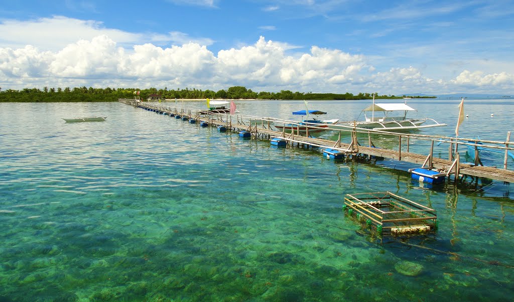 Exploring Olango Island - TRENDS YOU NEED TO KNOW