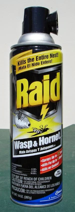 Matt Of All Trades: Another GREAT Use For Raid Bee And Wasp Killer