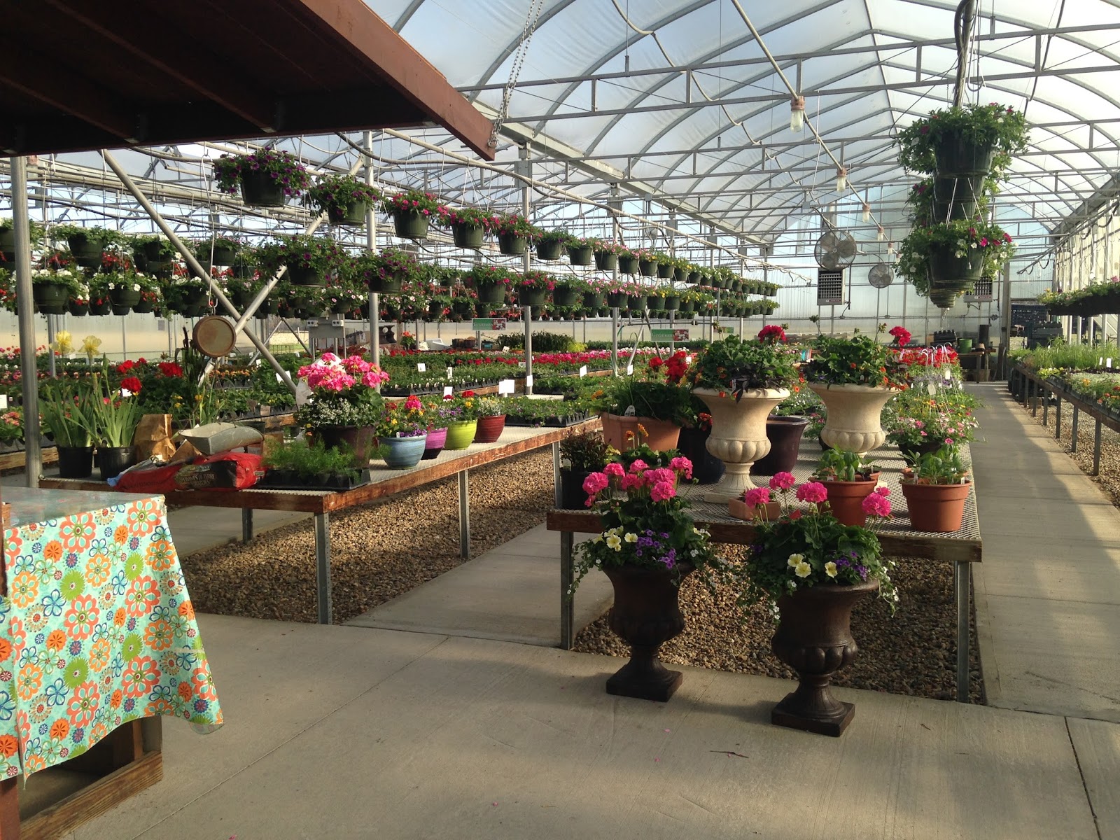 Sunnyside Greenhouses - Greenfield, IN: 2016