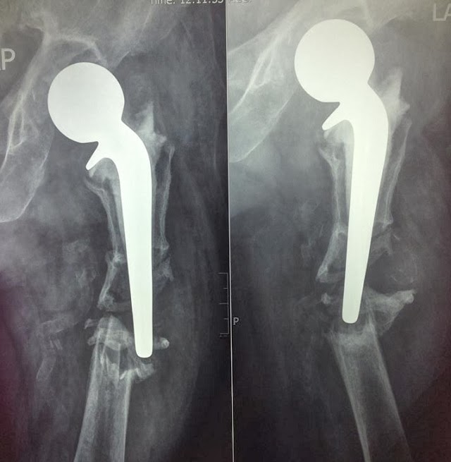 F/SLAOT - Federación de Sociedades y Asociaciones Latinoamericanas de ...