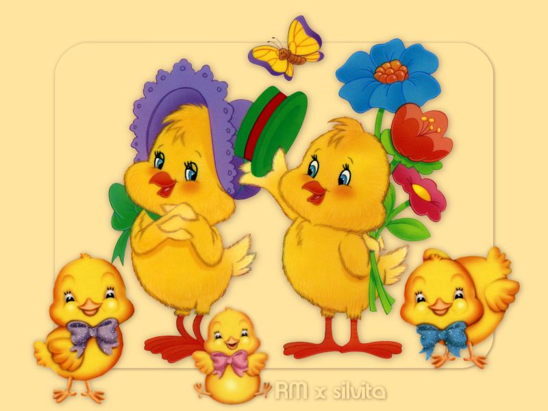 Fotos de pollitos bonitos - Imagui