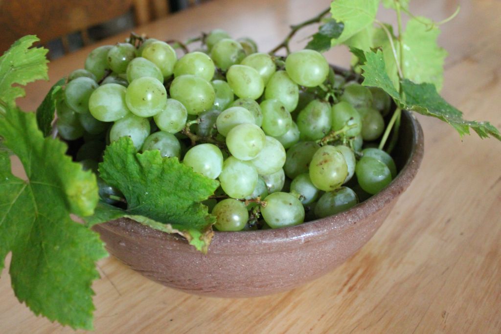 Towerwater Aan De Breede: Southern Flavours in the Western Cape