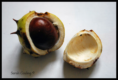 Going Conkers! Conker Decoration tutorial. - Sarah's Creative Outlet