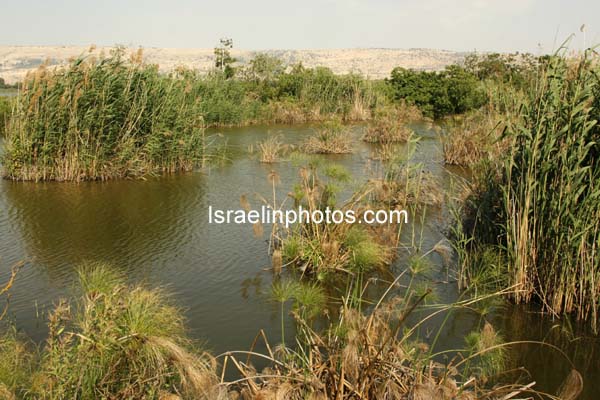 Israel in photos: Hulah Valley