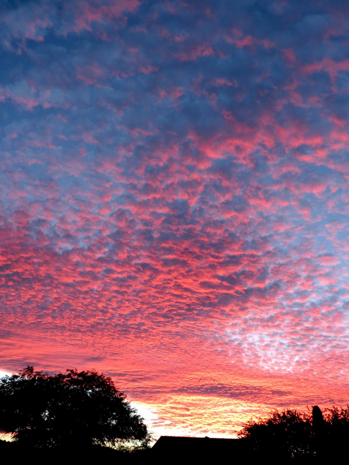 Desert Colors: October Skies