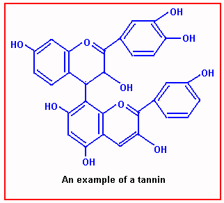 indekoperenketel: Wat is een hydrolaat