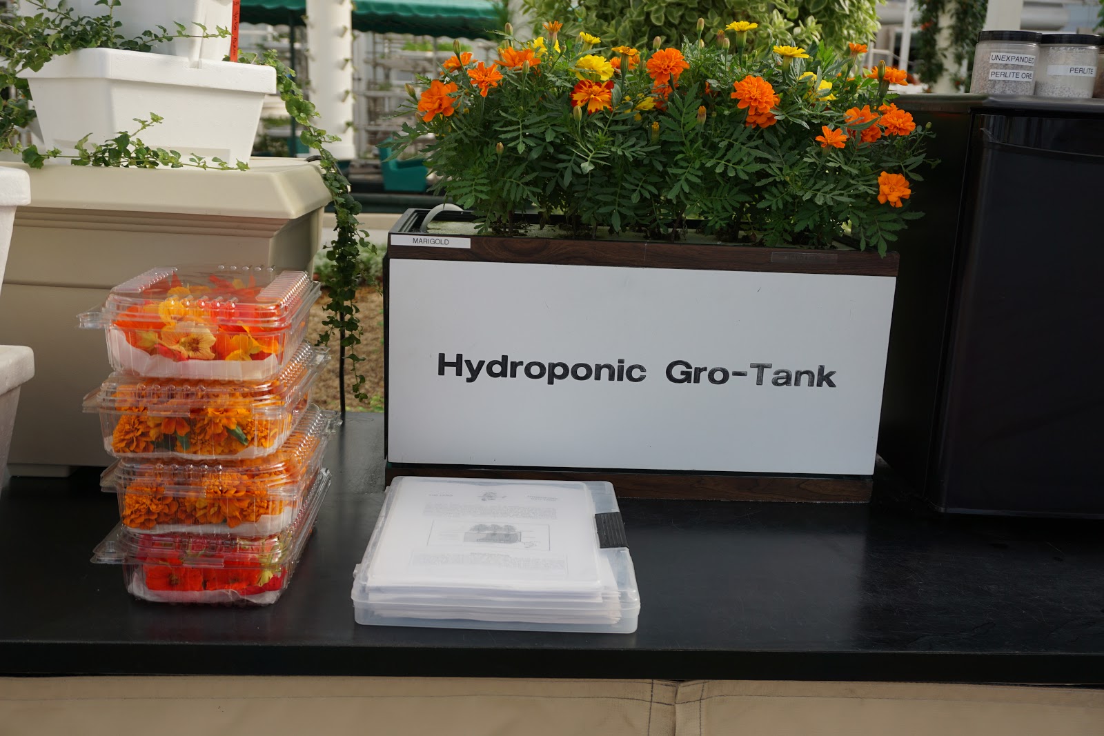 Behind The Seeds Tour at Epcot, Walt Disney World | I Run For Wine