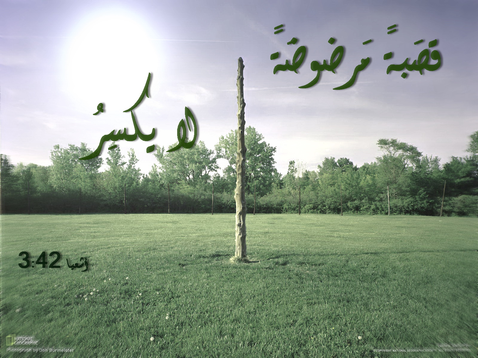 Rami Atallah: Arabic Christian Backgrounds - Wallpapers.