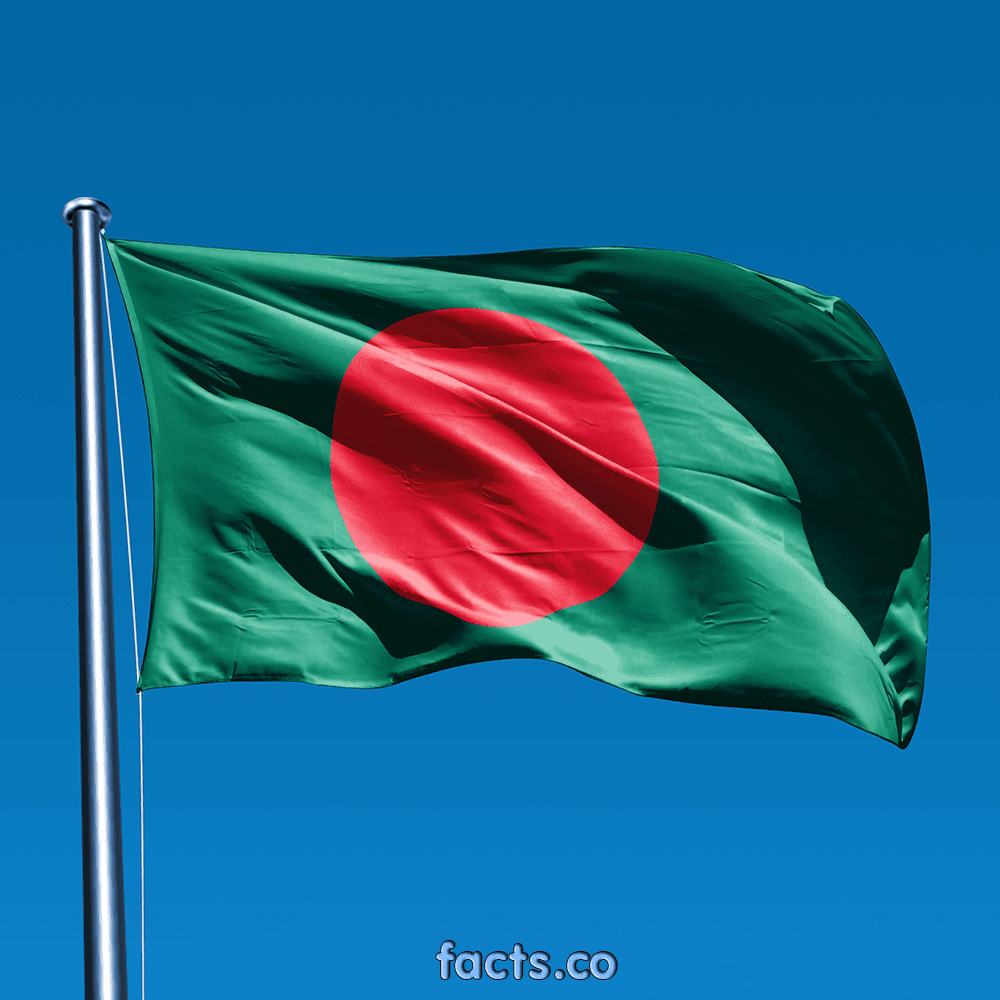 আইটি নেত্রকোনা:::....: BANGLADESHI NATIONAL Flag Collection, 16 ...