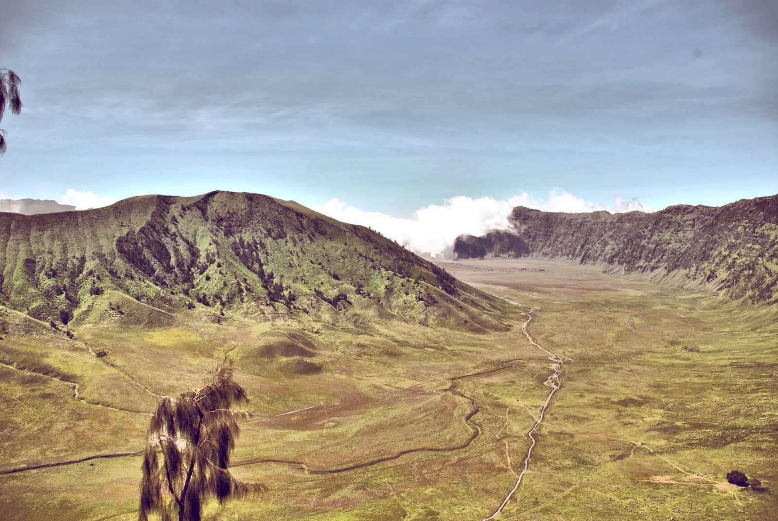 Arts Photographer: Ranu Regulo