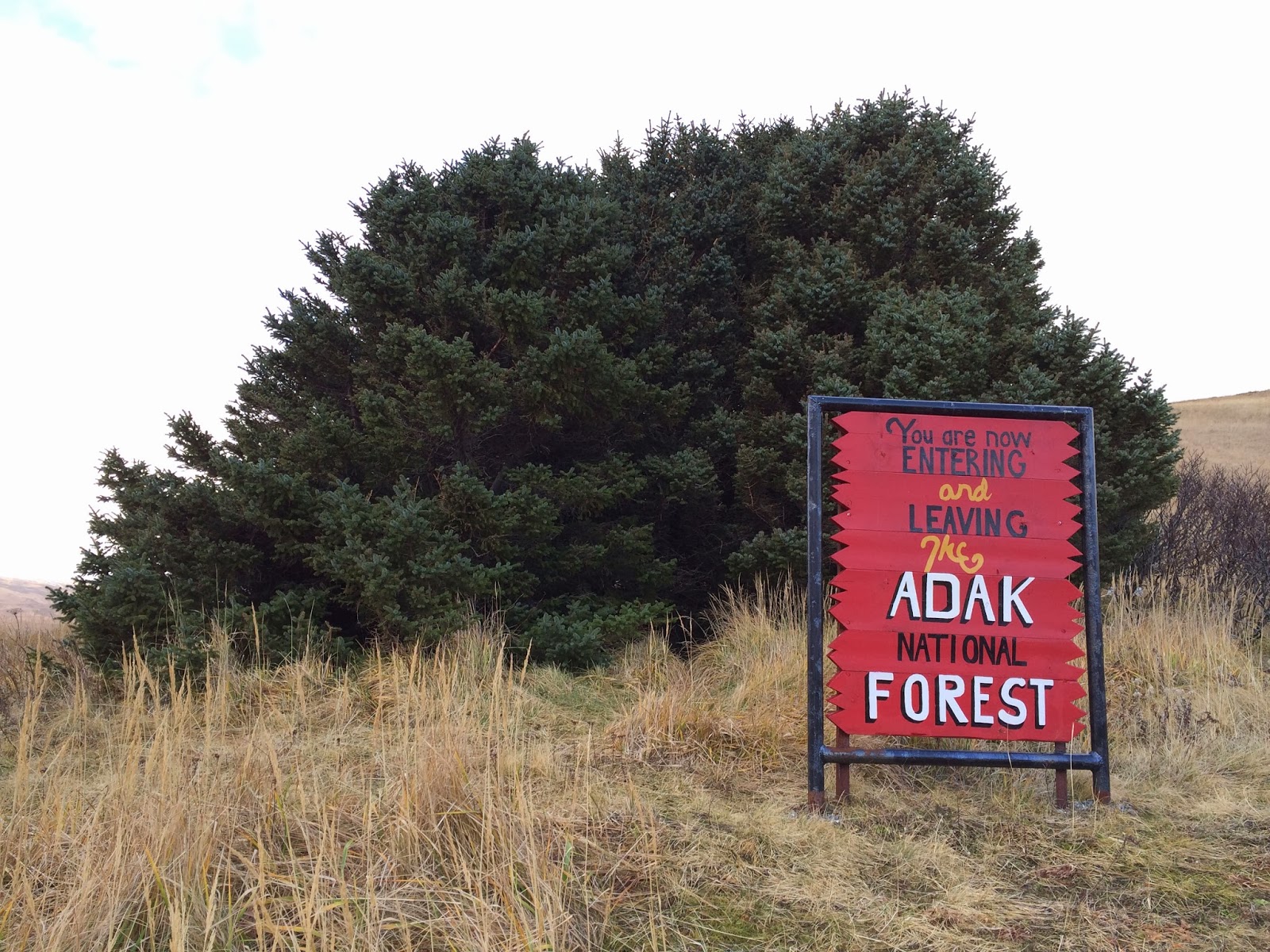 Adak National Forest Alaska