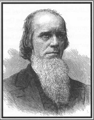 The Civil War Picket: Wrought in fear and just a little desperation ...