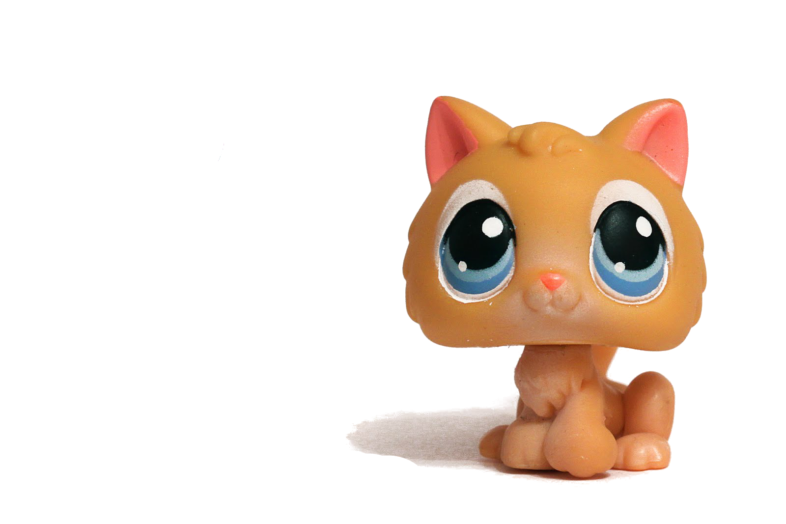 LPS Transparent : batch no.2