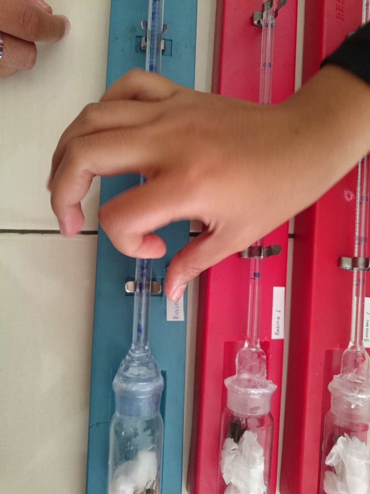 FISIOLOGI HEWAN : FISIOLOGI HEWAN