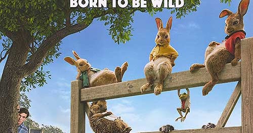 EL DESCUBRIMIENTO DE LAS PELICULAS AJENAS A DISNEY: Peter Rabbit/Las ...