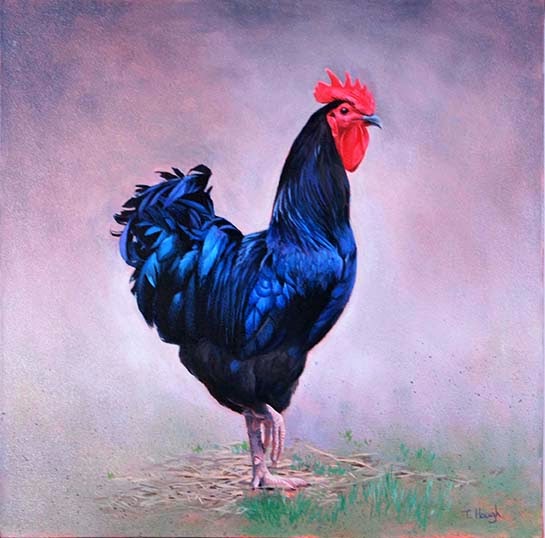 Mitoslavia: Czarny kogut