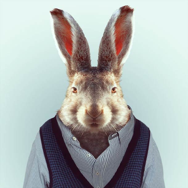 abapsupal: Yago Partal