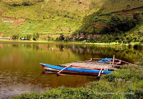 Biro Wisata Fortekindo Tour: TELAGA MERDADA DIENG