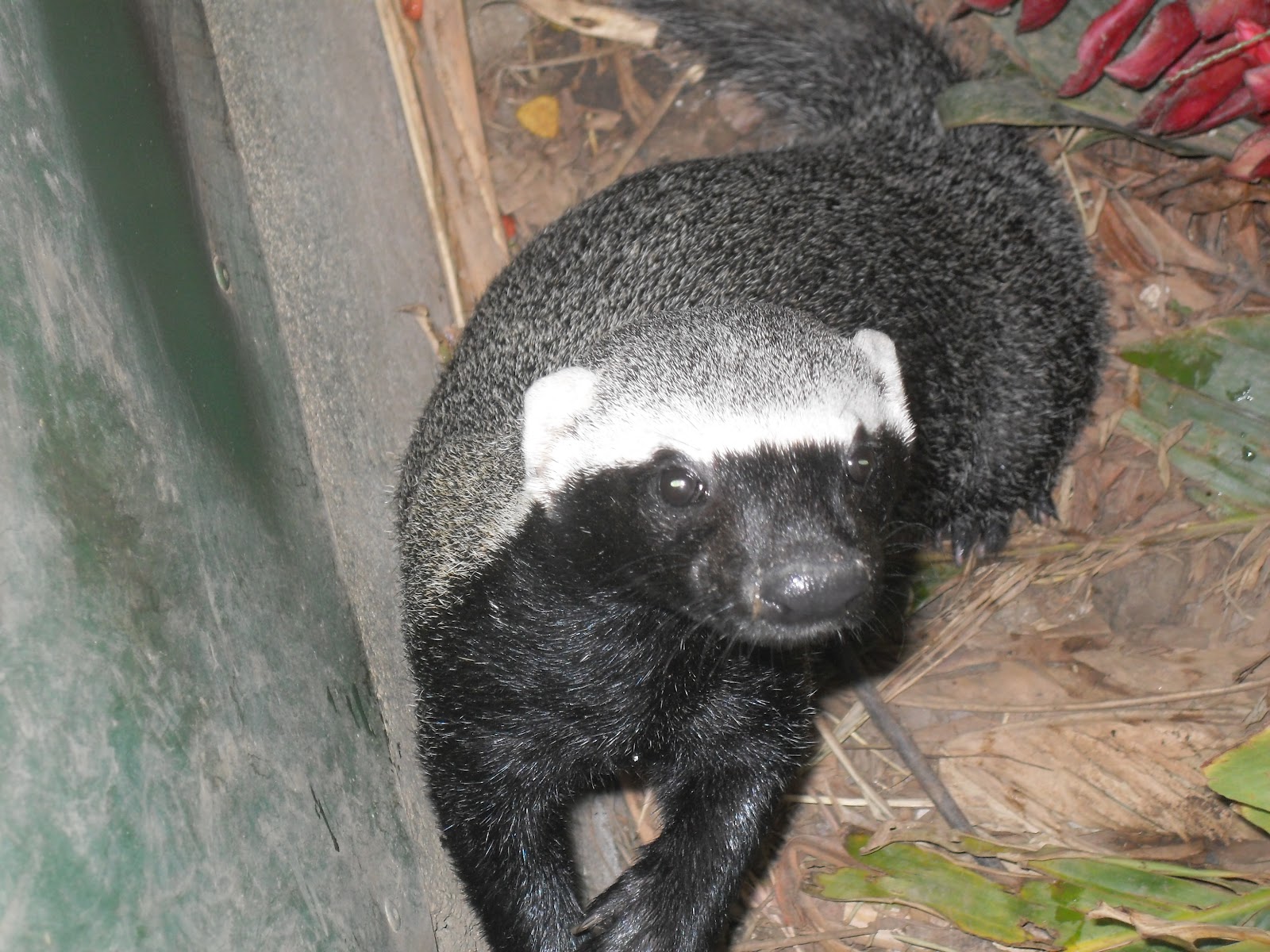 Costa Rica trip