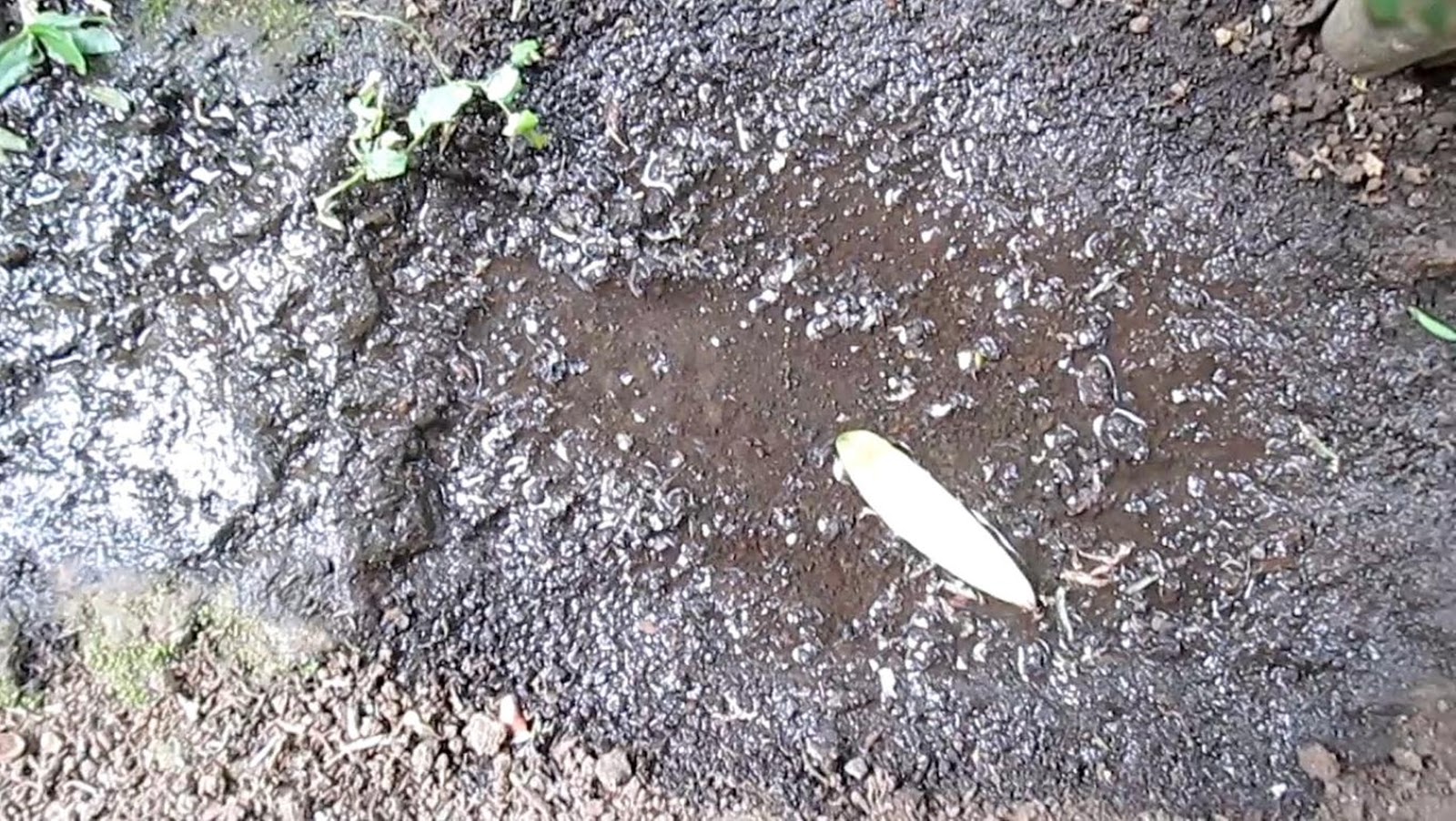 Media Pembelajaran Infiltrasi | Media Pembelajaran Geografi