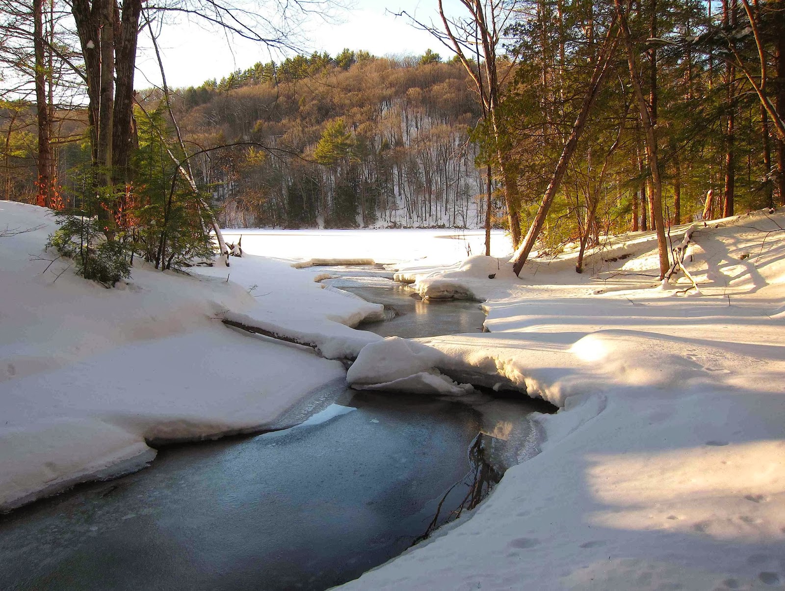 Saratoga woods and waterways: Walking the Snowy Woods
