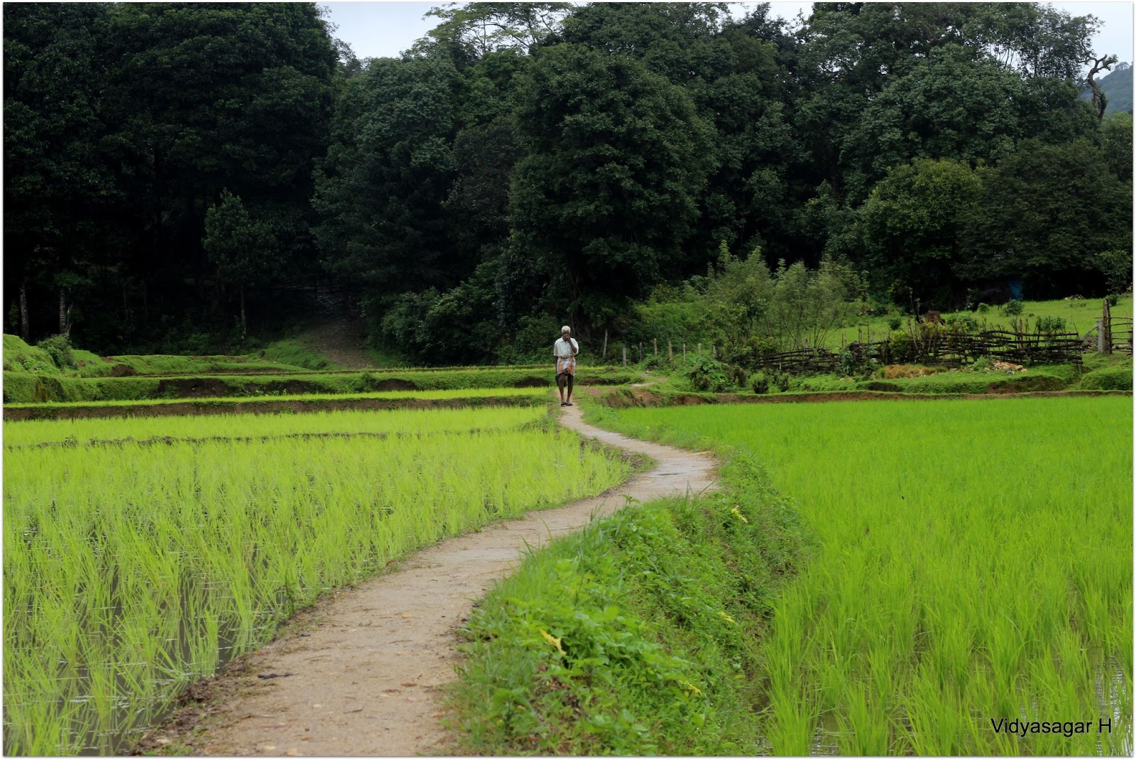 Kavaledurga Fort – A day Visit with Family - Payana - My Journey | Life ...