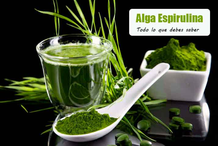 EL ALGA ESPIRULINA Y LA SPIRULINA CEREAL DXN