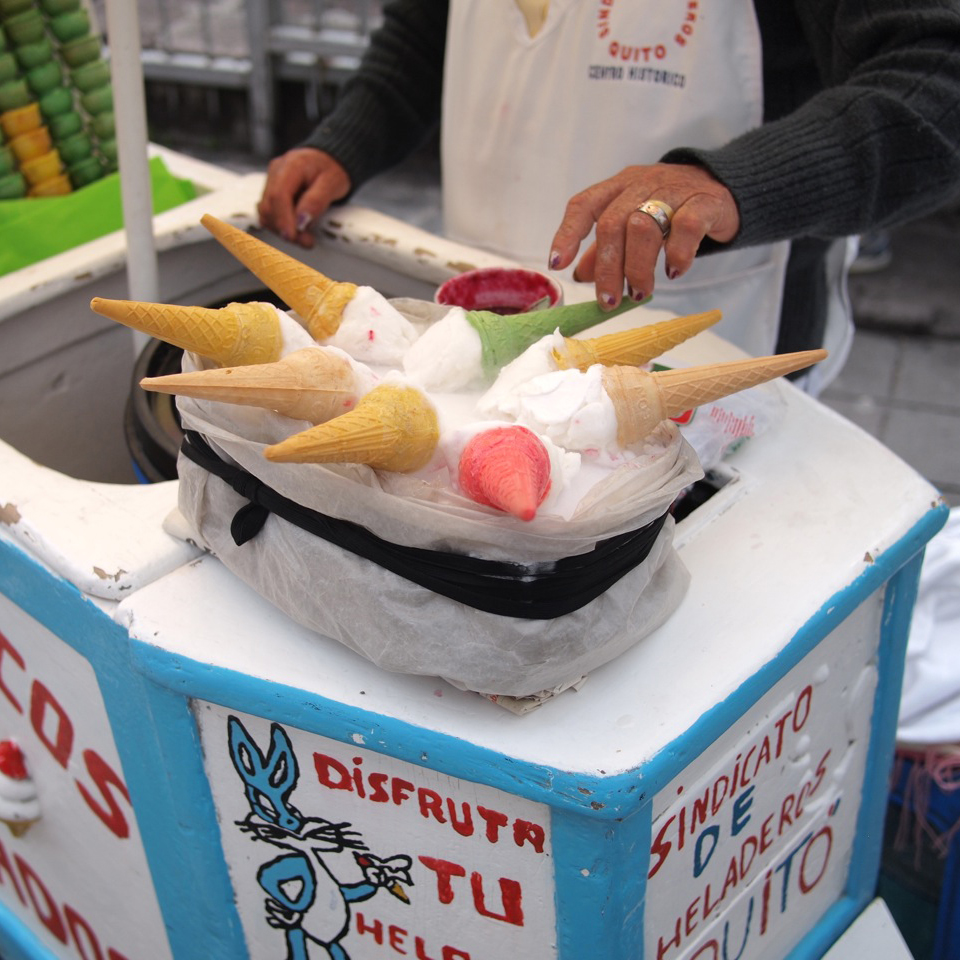 Scout Regalia: Field Research: Quito, Ecuador