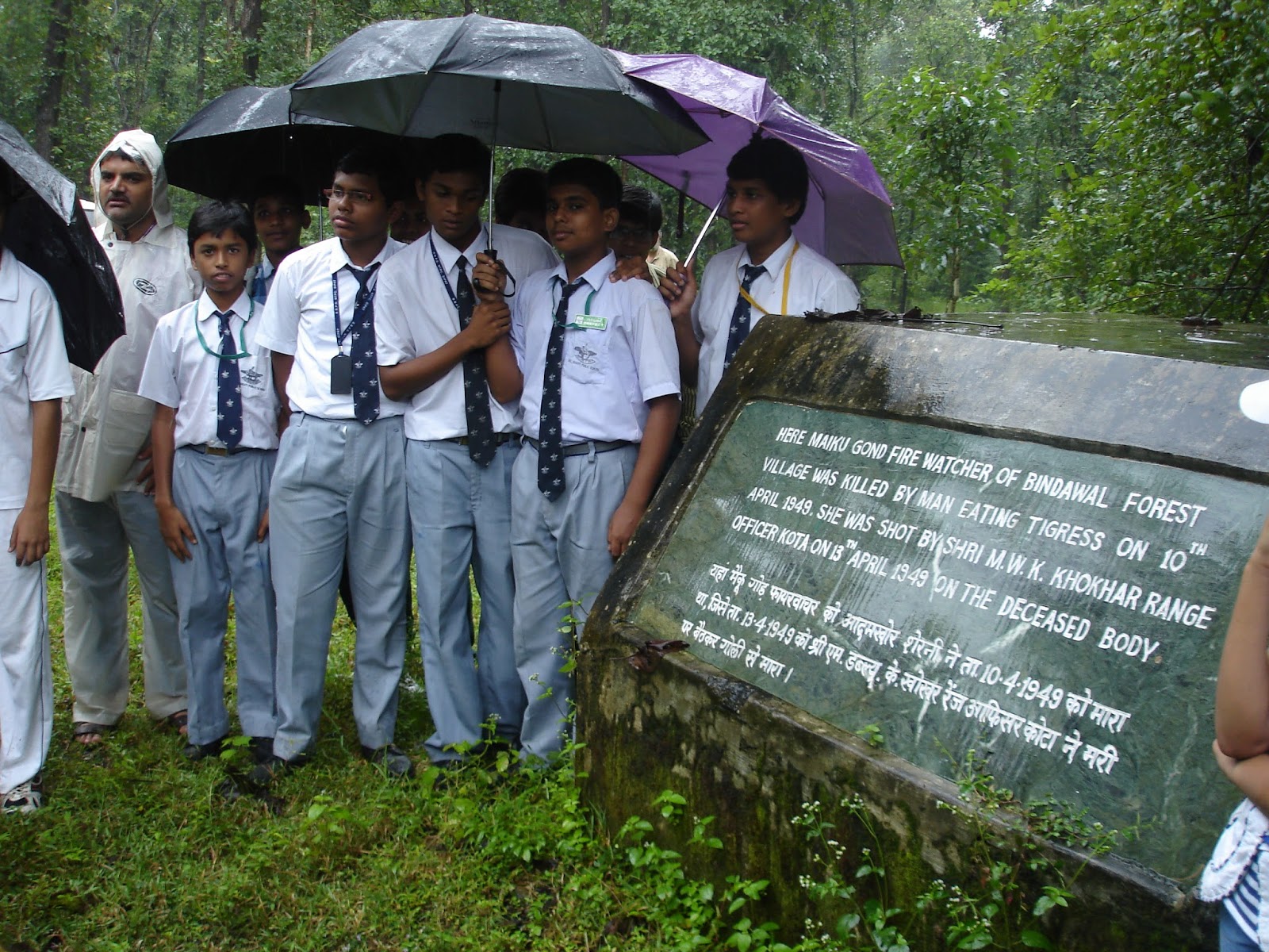 tiger valley: नई पीढ़ी जंगल देखी,समझी