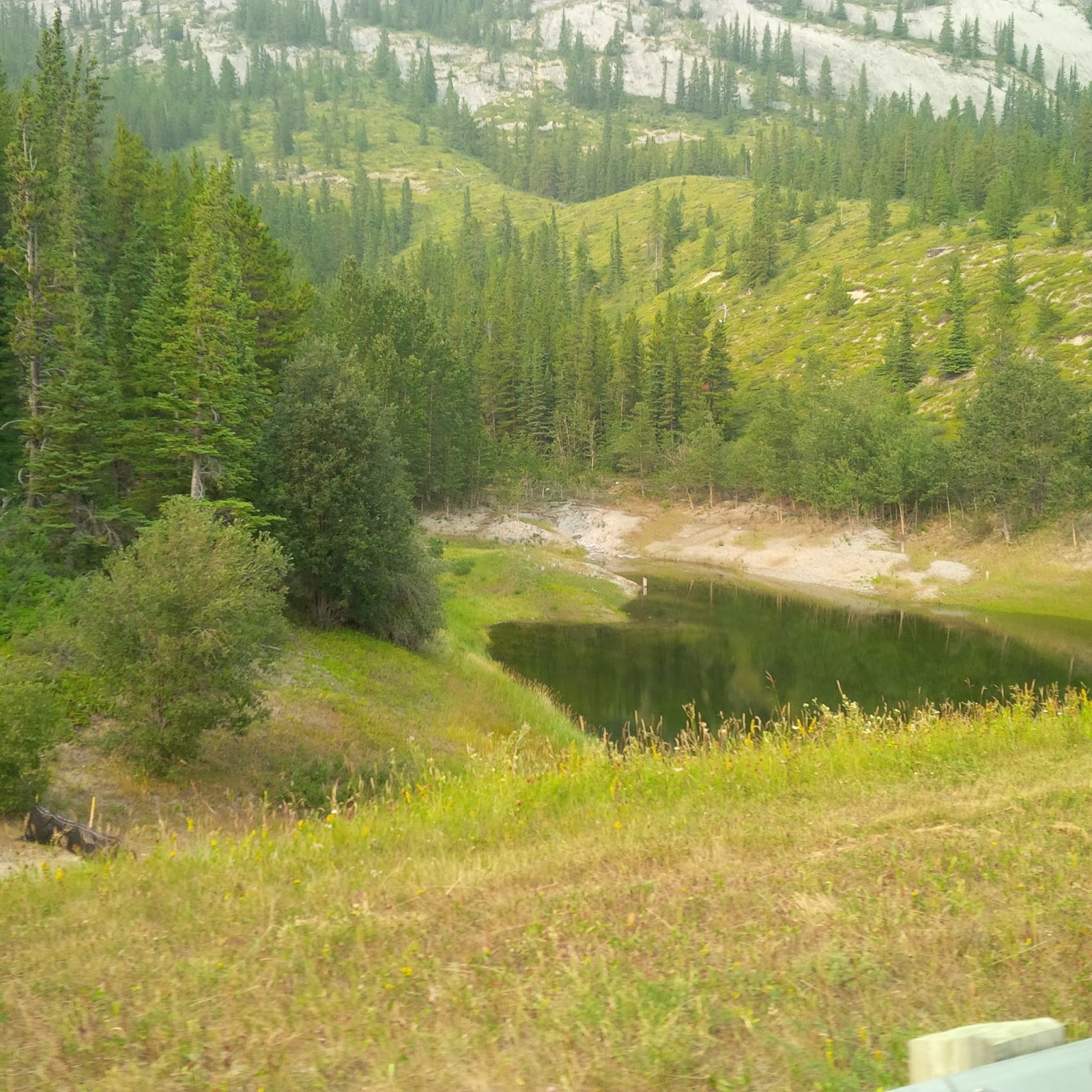 Cycle Adventures of an Edmontonian: Sunchild Road to Cline River, Alberta