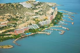 Lechería Tv: Lechería